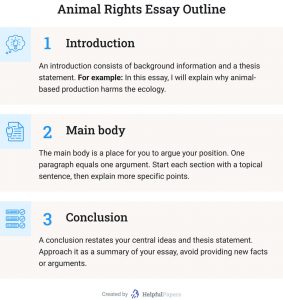 Animal Rights Essay: Topics, Outline, & Tips on Writing an Animal ...