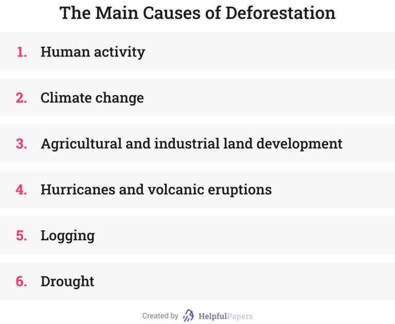 222 Deforestation Topics for Essays, Research Papers, & Speeches