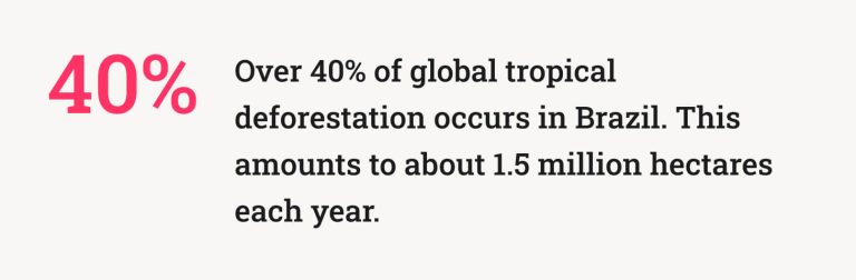 222 Deforestation Topics for Essays, Research Papers, & Speeches
